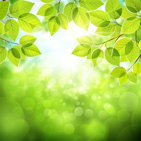 Summer Green Leaves With Sunlight Vector Background Vectors Graphic Art Designs In Editable Ai