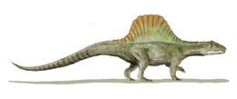Arizonasaurus Fossil Wiki Fandom