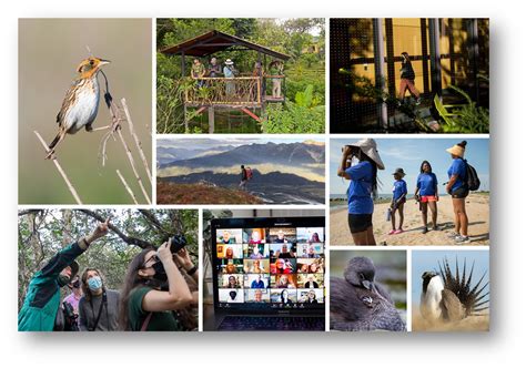 Effectiveness Of National Policies In Halting Species Extinction By Nynasan Dec 2024 Medium