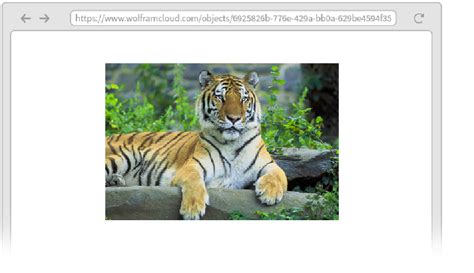 Creating Websites And Apps Elementary Introduction To The Wolfram Language