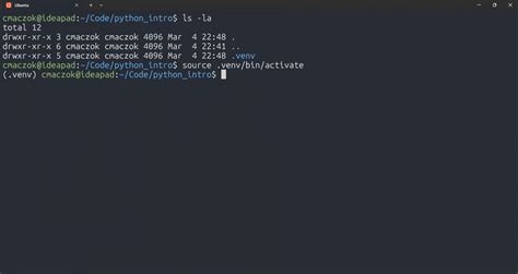 Python для начинающих дата аналитиков как настроить виртуальное
