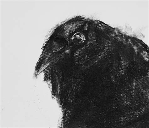 Crow Portraits — Susie Breen