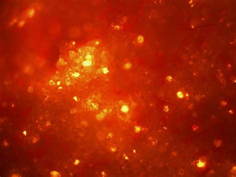 Washing Laundry May Be An Underappreciated Source Of Microplastic Pollution State Of The Planet