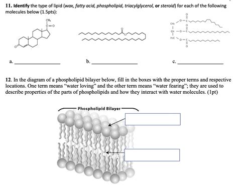 Solved Help Please Course Hero