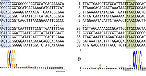 Rrresearch A Simple Bioinformatics Experiment Done With Word