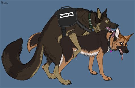 Rule 34 Anal Bodily Fluids Brown Body Brown Fur Canid Canine Canis