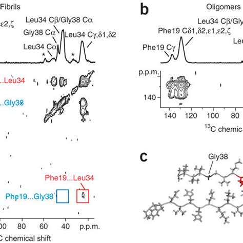 Characterization Of Aβ42 Oligomers Protofibrils And Fibrils A Tem Download Scientific