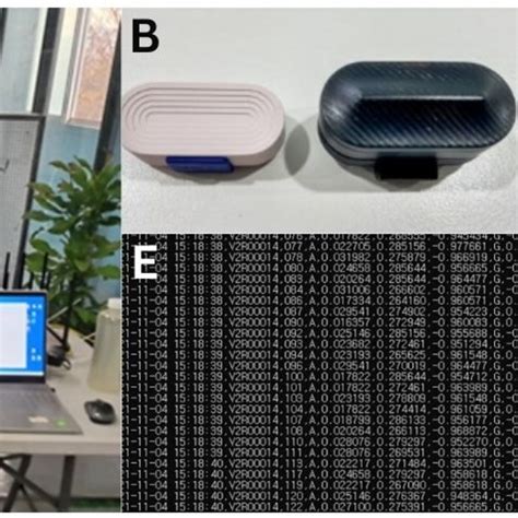 Cat Activity Detection Kaggle