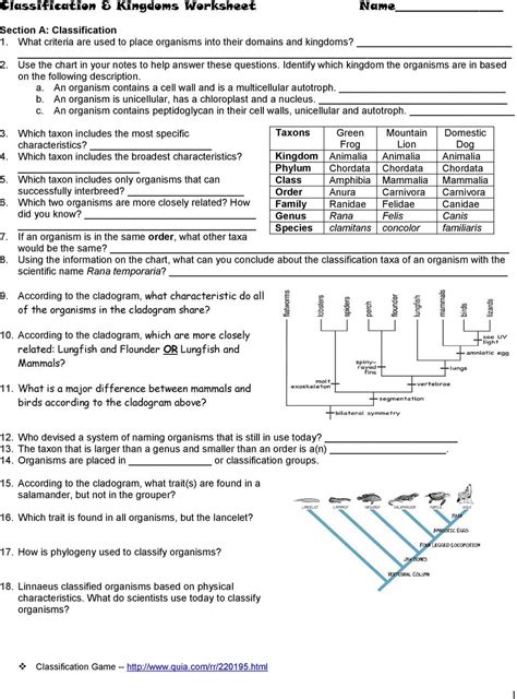 Kingdom Classification Worksheet Answers — Db
