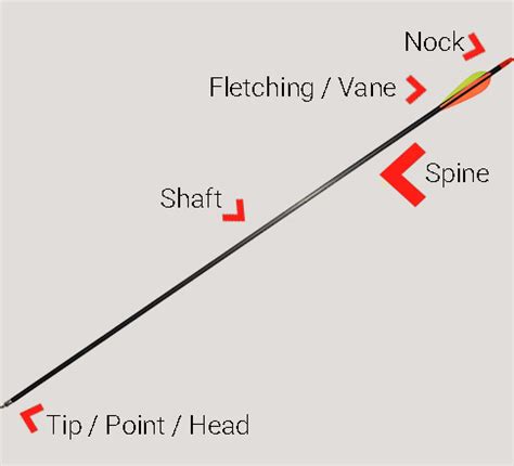 Archery Basics Complete Beginners Guide Archery Guide