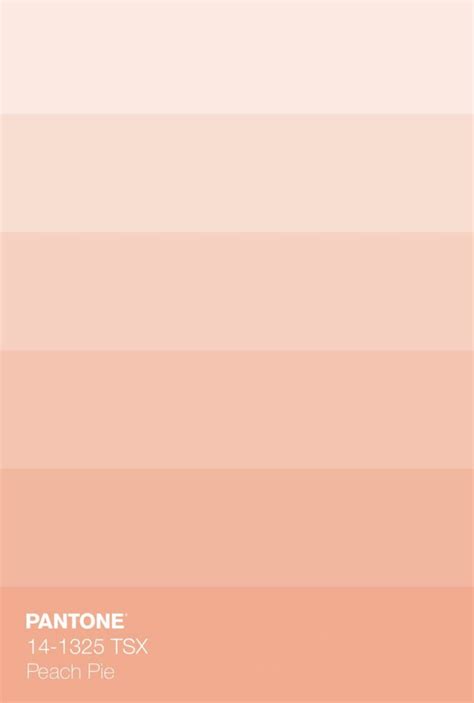 Pinterest In 2025 Peach Color Palettes Peach Peach Colors