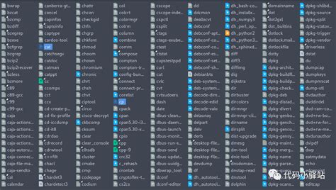 根目录 linux根目录下各个目录的介绍 csdn博客