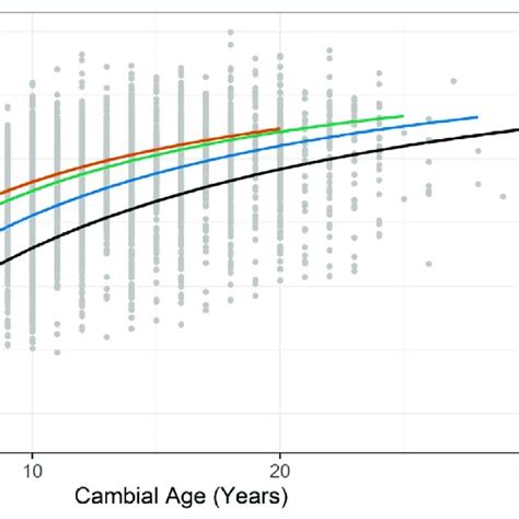 Variation In Loblolly Pine Tracheid Width By Cambial Age And Height Download Scientific Diagram