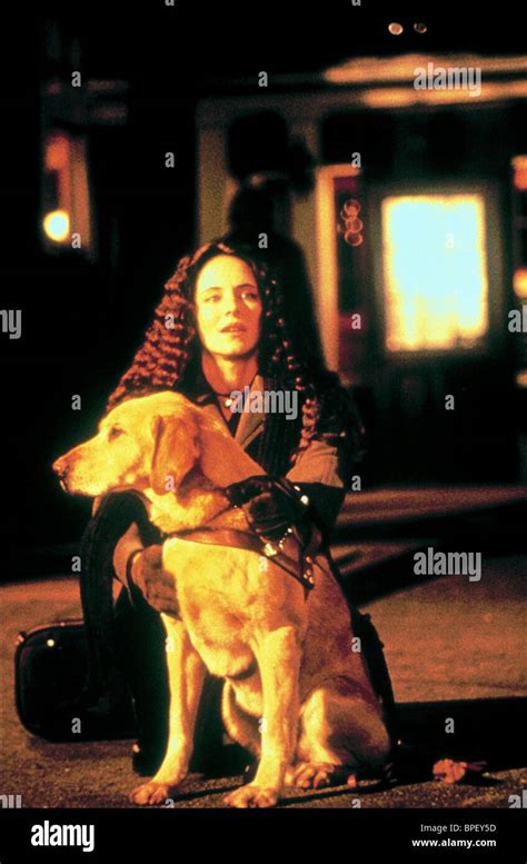 Madeleine Stowe High Resolution Stock Photography And Images Alamy