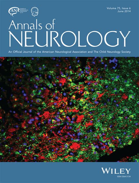 α‐synuclein In The Inner Retina In Parkinson Disease Bodis‐wollner