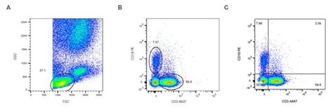 Flow Cytometry Histogram