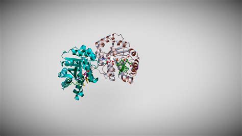 Plasmodium Falciparum Tpi Enzyme 3d Model By Jaypaku [429ceed