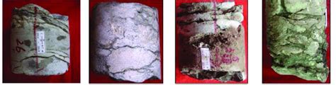 Dissolved Fractures Observed On Cores Download Scientific Diagram