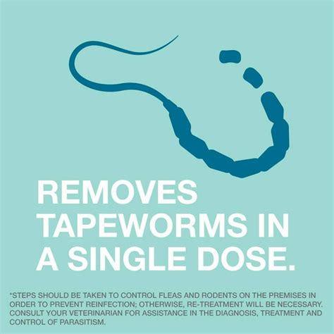 Tapeworm Treatment