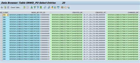 Epm Model Data Generation Sapcodes