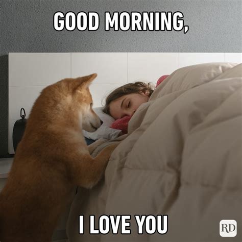 30 Good Morning Memes For A Good Laugh Readers Digest