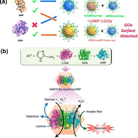 Construction Of A Multienzyme Cascade Nanoreactor Via A Stepwise