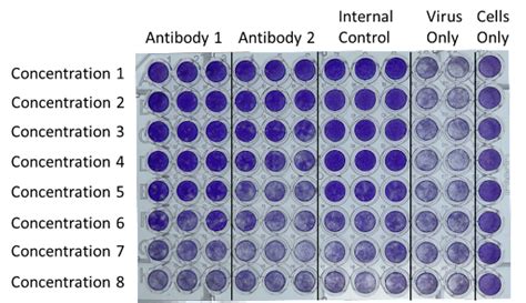 Microneutralization Assay Services To Assess Antiviral Activity