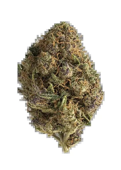 Blue Raspberry Cannabis Strain Information Growdiaries