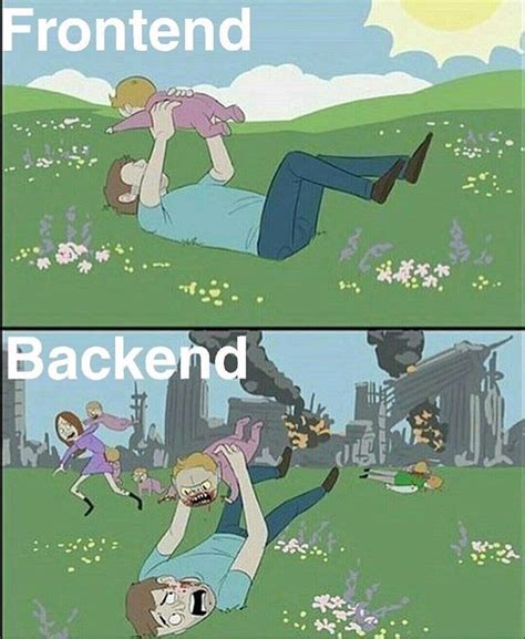 Frontend Vs Backend R ProgrammerHumor