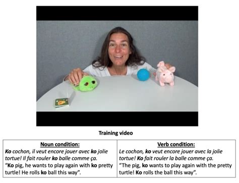 Example Of The Script Used In The Two Versions Of The Training Video Download Scientific