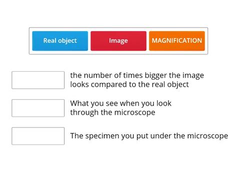 Magnification Key Words Match Up