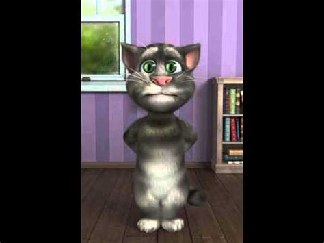 Talking Tom Say Hello Youtube