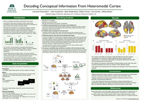 Pdf Decoding Conceptual Information From Heteromodal Cortex
