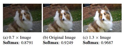 [now reading] confidence estimation in deep neural networks via density