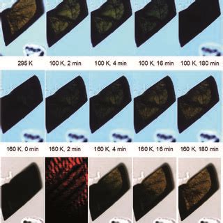 Single Crystal Optical Microscopy Images Of The Crystal Of Top Upon Download Scientific