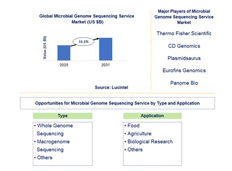 Microbial Genome Sequencing Service Market Report Trends Forecast And