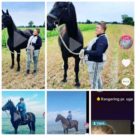 Stakkels Hest Rtiktokdramadk
