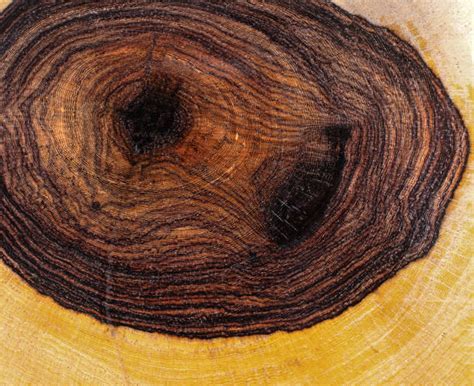 Texture Bois Ebene Banque Dimages Et Photos Libres De Droit Istock