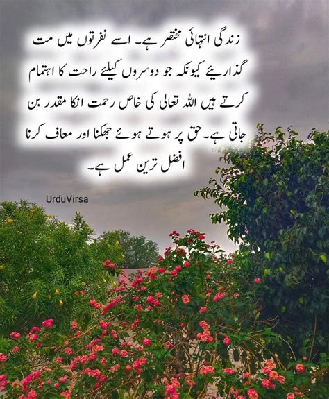 Malik Raees Shahbaz On Linkedin Forgive Love Peace