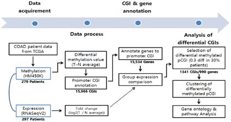 Workflow Of The Coad Data Analysis Cgi Cpg Island Coad Colon