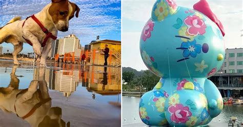 30 Photos Where Camera Perspective Gets Hilariously Confusing