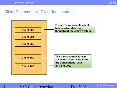 Chapter 02 Sap Client Overview