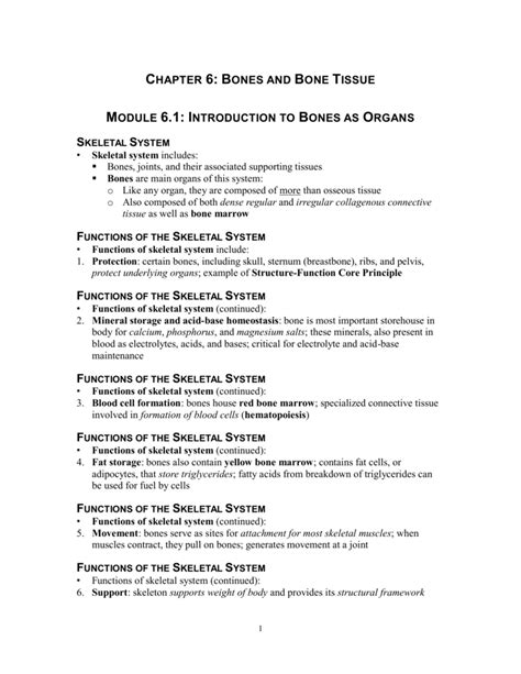 Bone Cell Structure And Function