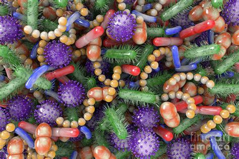 Microbiome Posters Fine Art America