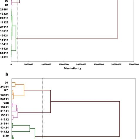 Diagram Of Morphological Properties Of Eggplant Genotypes A And