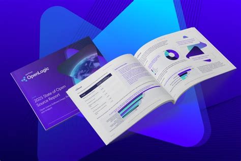 2025 State Of Open Source Report Perforce Software