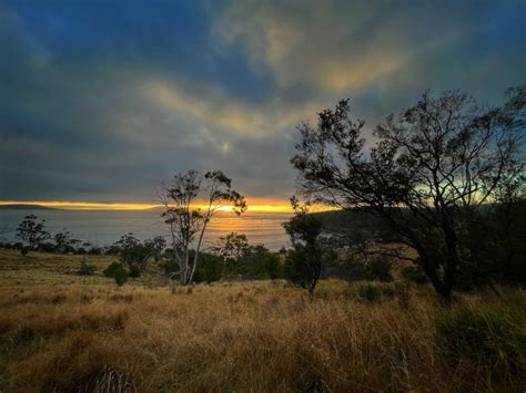 James Hattam On Linkedin Conservation Community Tasmania
