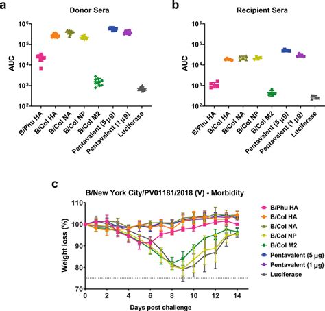 Humoral Protection From Ibv Challenge Is Afforded By Antibodies That Download Scientific