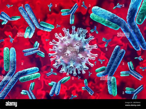 Antibodies Attacking Healthy Cells At Dennis Fleming Blog