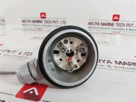 Radix Pt 100 3 Wire Rtd Sensor Aeliya Marine
